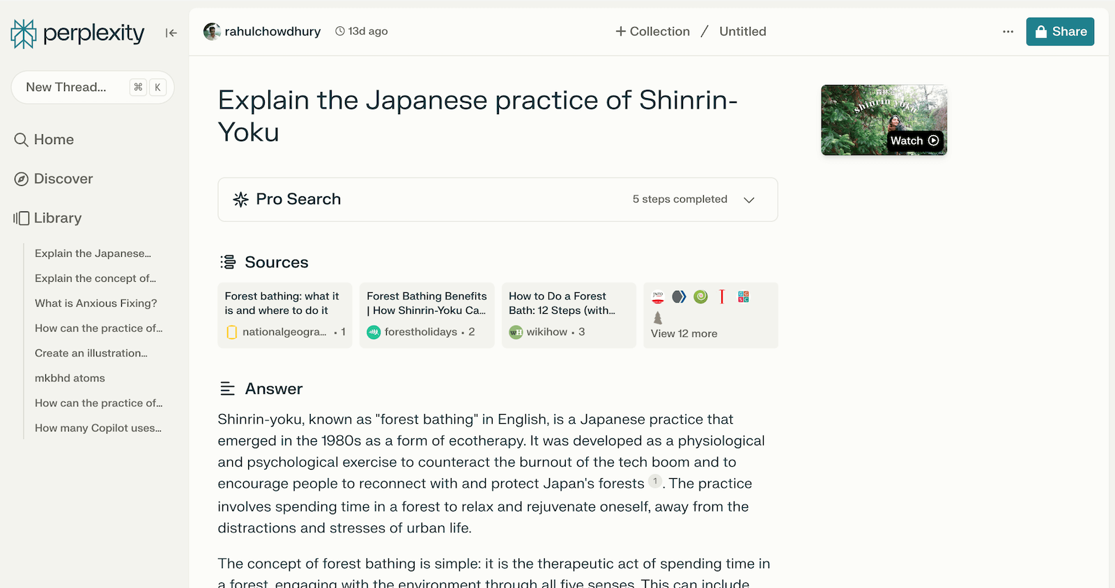 How I Research Everything with Perplexity